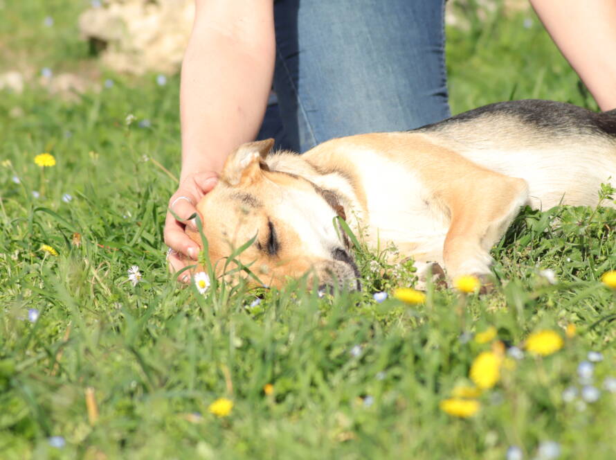 Les précautions à prendre avant de faire pratiquer séance d'ostéopathie ...